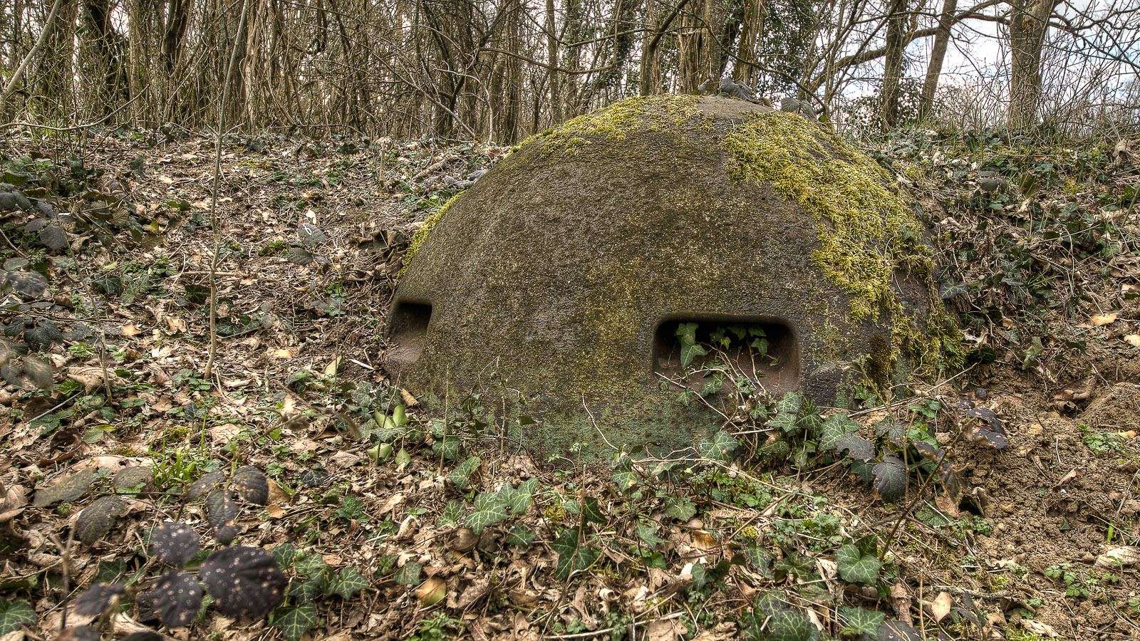 Panzerfestung Kronprinz